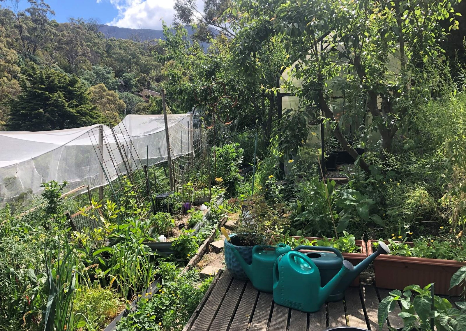 Growing on the Marginal - Permaculture Tasmania